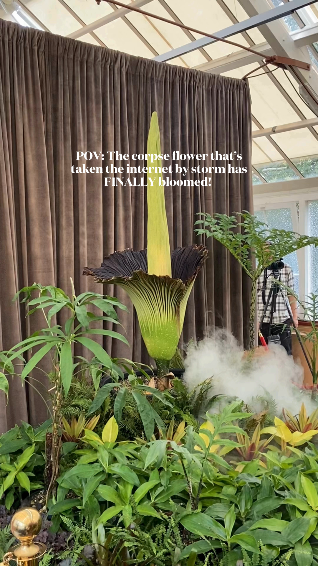First Look: Putricia at The Botanic Gardens, Sydney - Australian Traveller