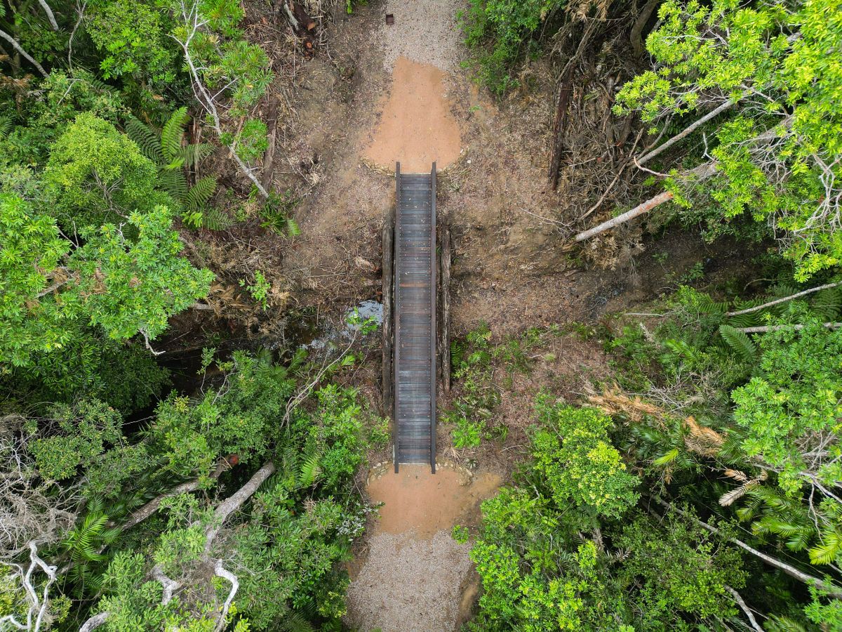 A much-loved Tropical North Queensland track has reopened - Australian ...
