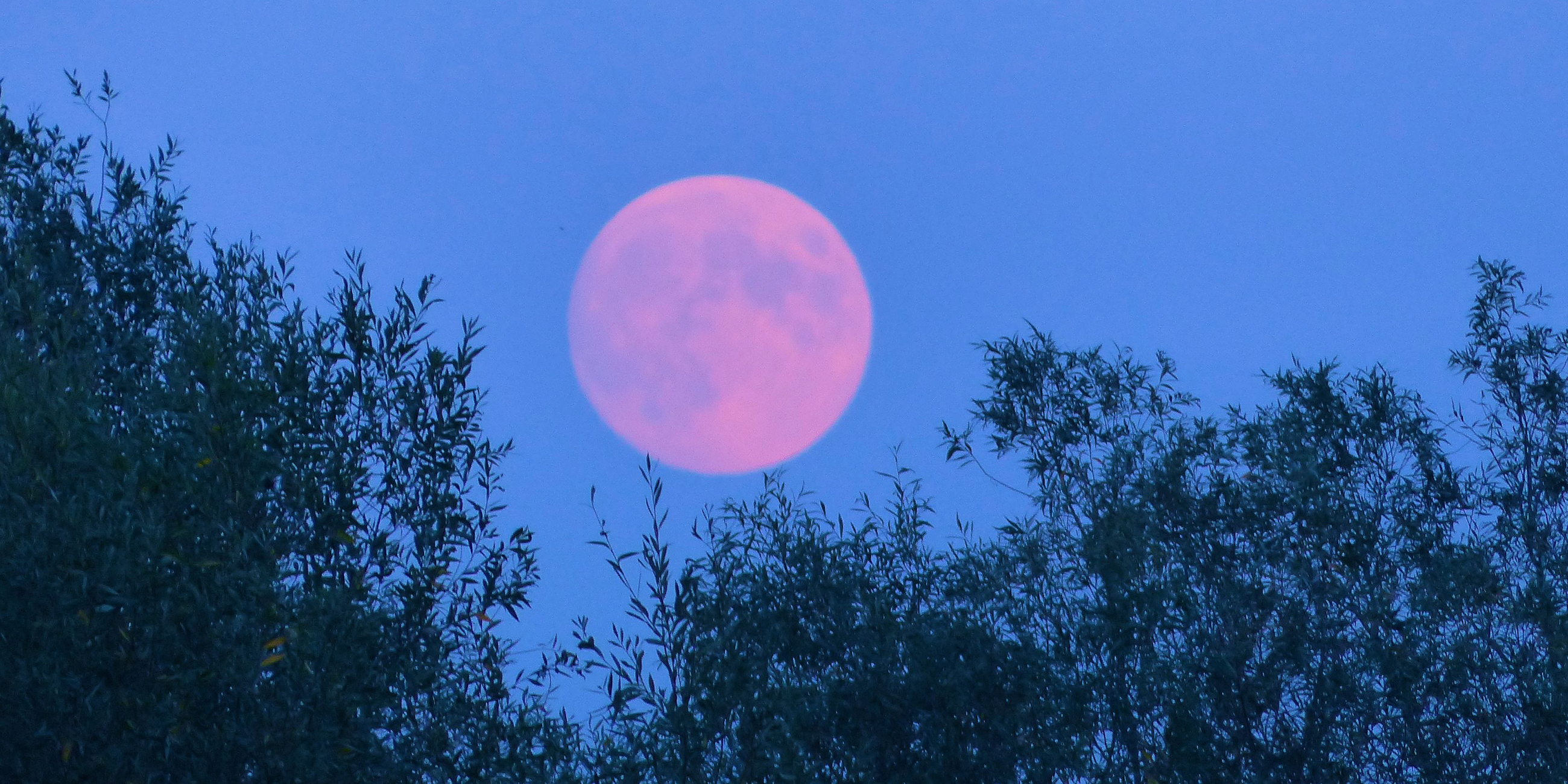 Why you shouldn’t bother looking for a pink moon tonight